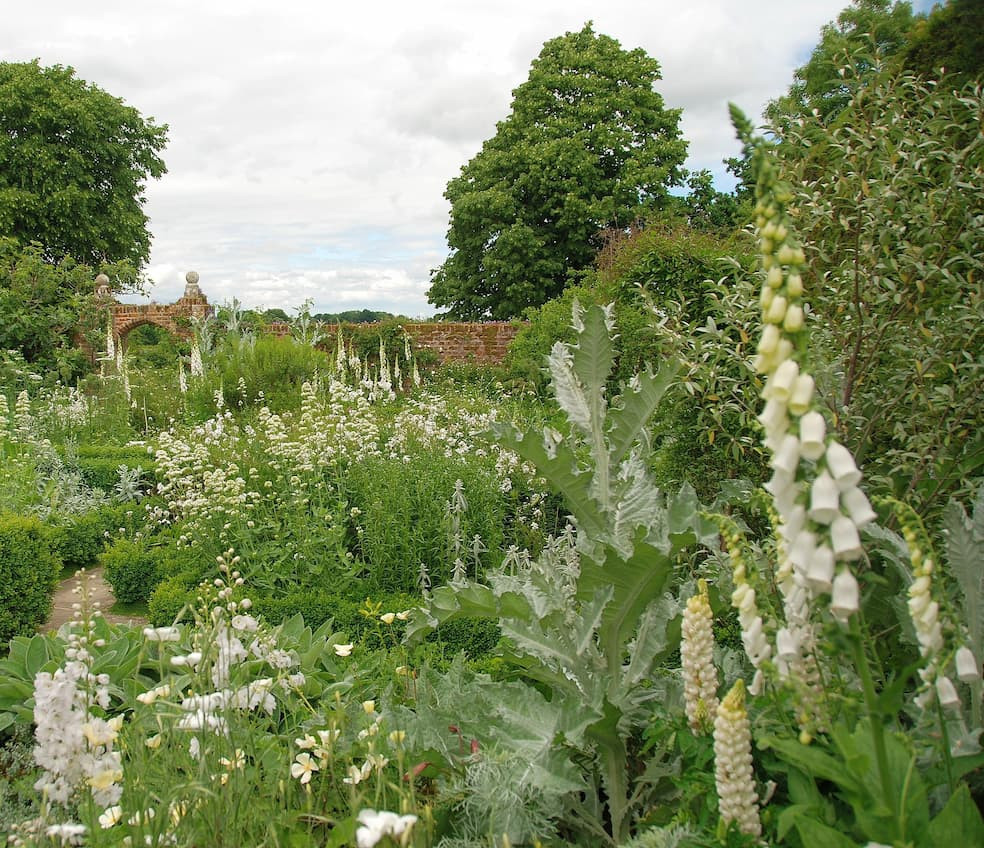 Een witte tuin: spectaculair eenvoudig | Otheo